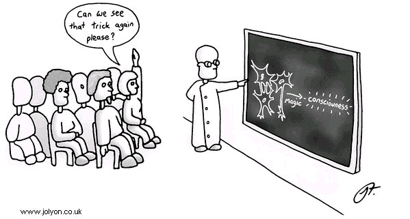 Mind Shadows: David Chalmers: The Easy and Hard Problems of Consciousness