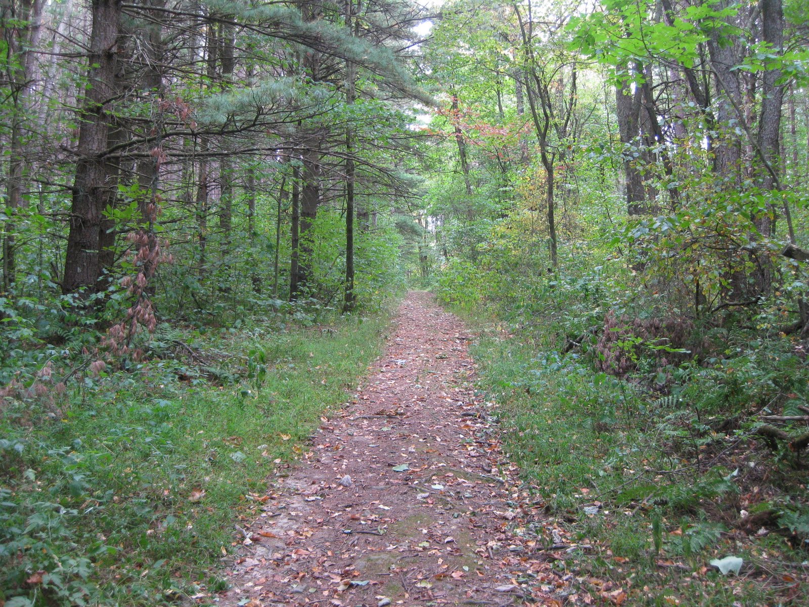 The 50 Hikes Project: Hike 14 - Bear Run Nature Reserve - 8.8 miles