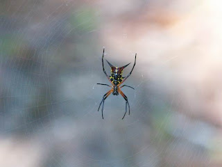 Jane and Malc on the road
