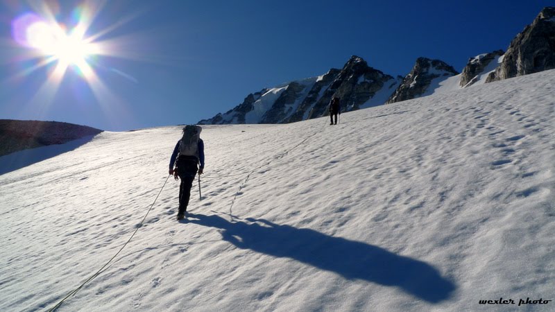 Mt Fay - Global Alpine