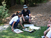 Invasive Notes: Les Mehrhoff - botanist and pioneering giant in the ...