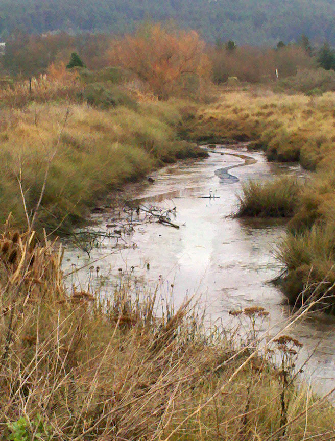 the art garden: Innovative Use of Natural + Built Landscape