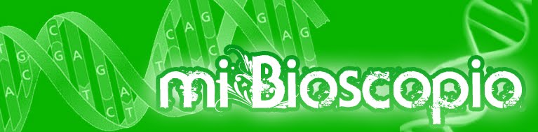 bioscopio
