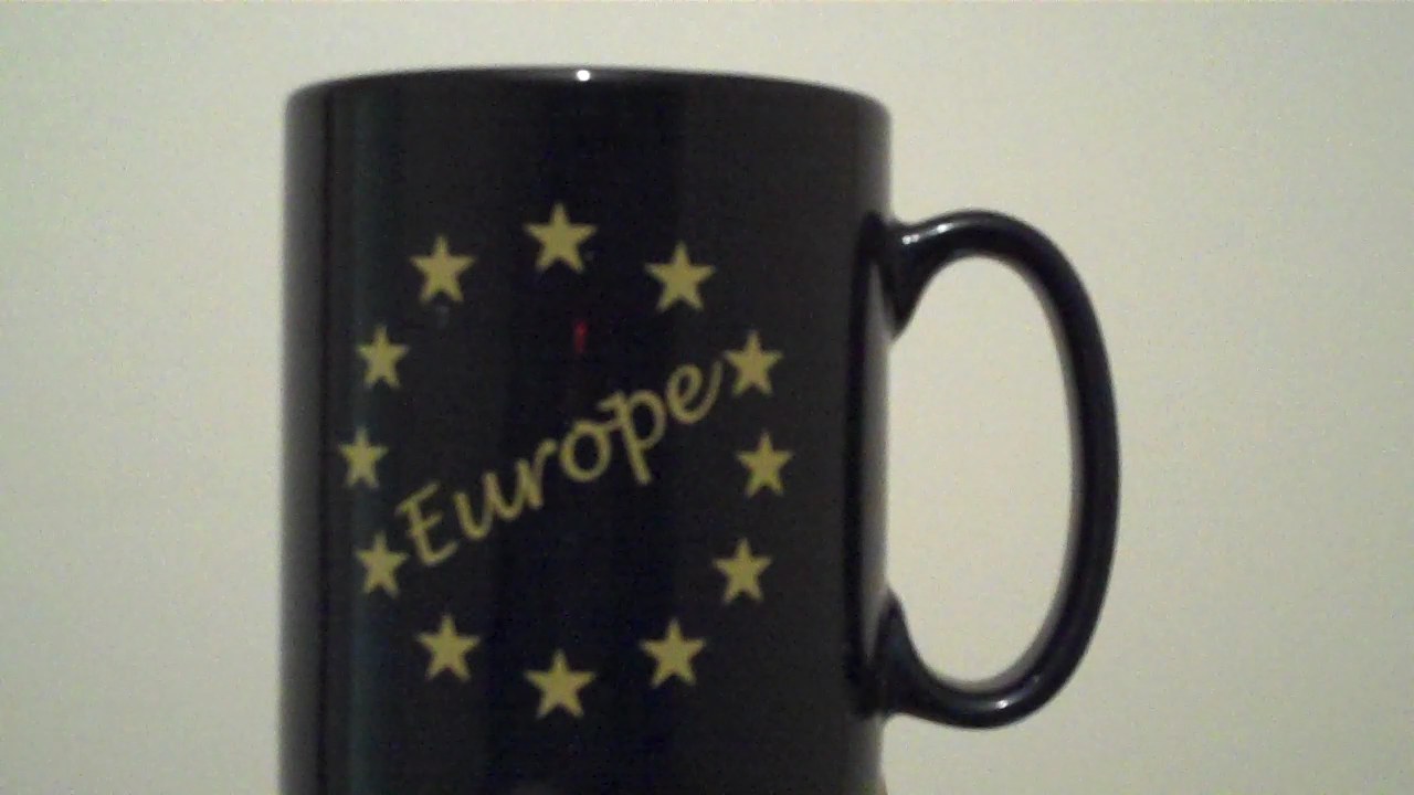 The European Citizen: My Europe Day