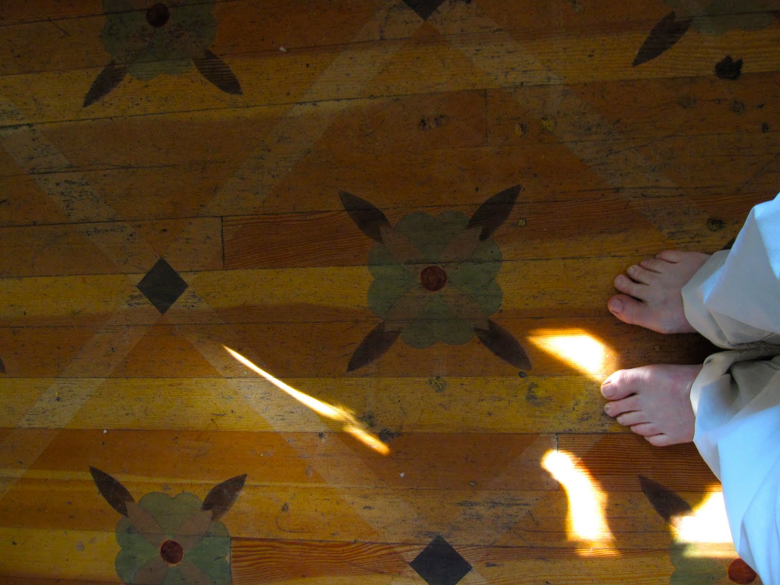 The Zenosaurus Course In Koans #5: Running Things Backwards - Pacific ...