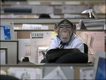 Richardson Fights To Keep Chimp Research In Alamogordo