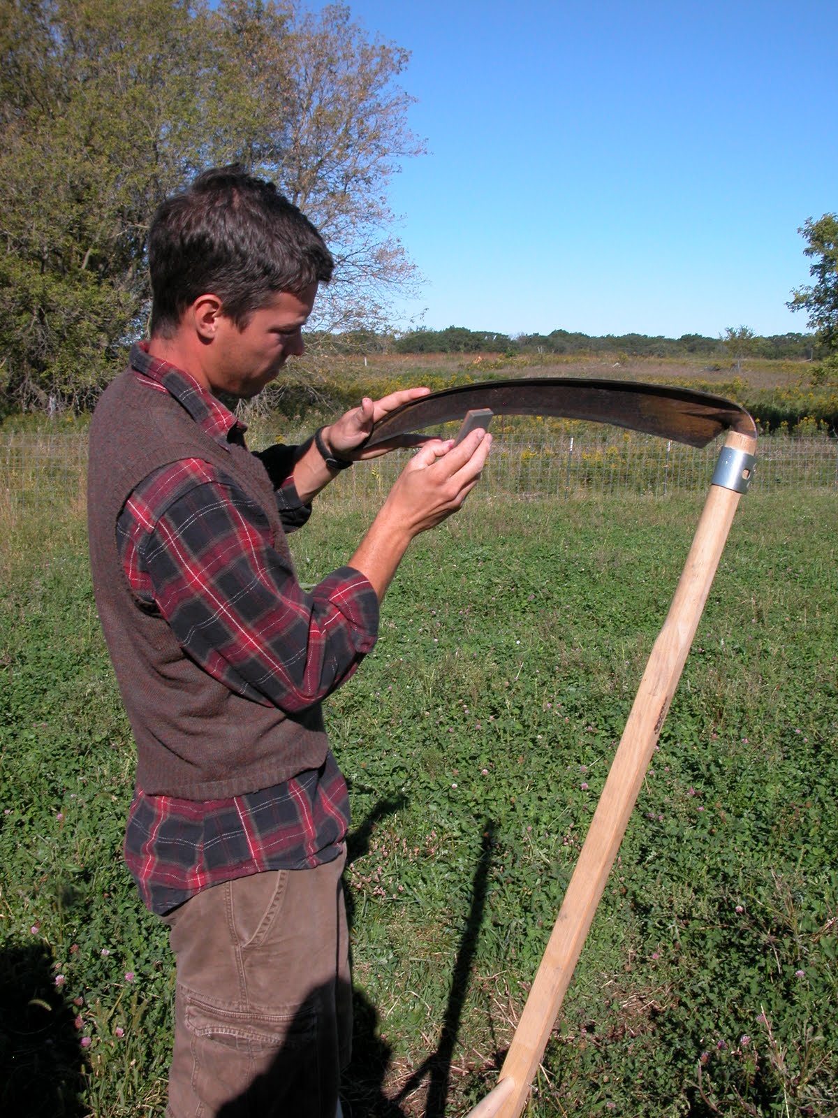 Little Flower Farm: The Scythe Chronicles