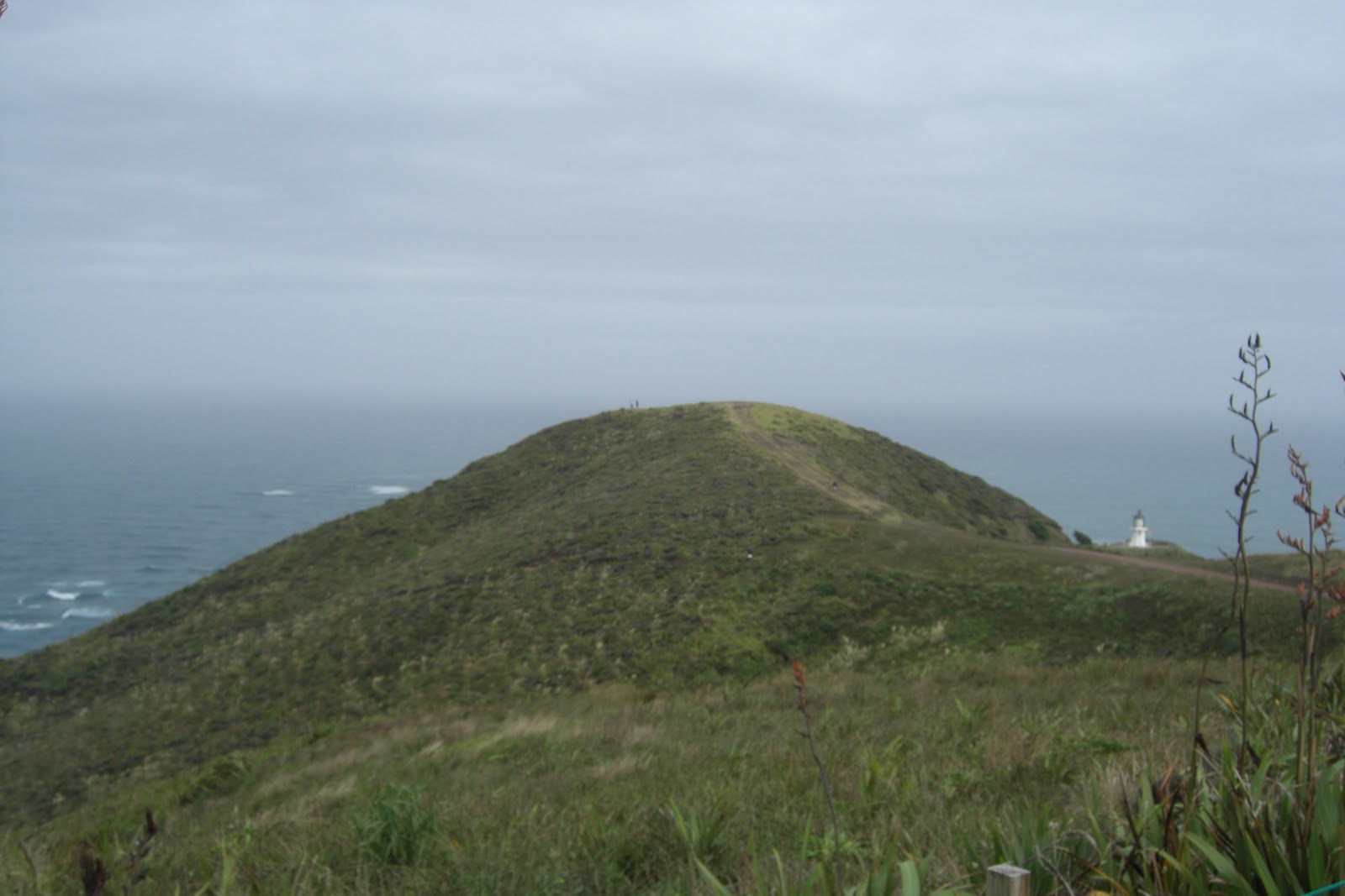 Down Under: Cape Reinga