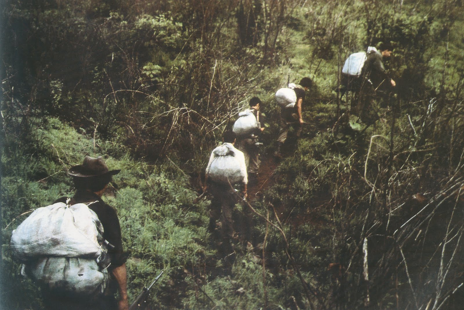 Sandino vive: TRIUNFO FSLN