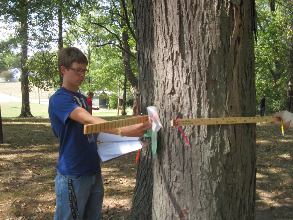 True Blue Sam the Travelin' Man: FFA Forestry Contest