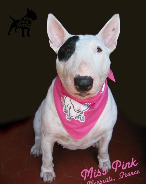 Pig Dogs in the Tdot: Pig Dog Swag is now in the South of France