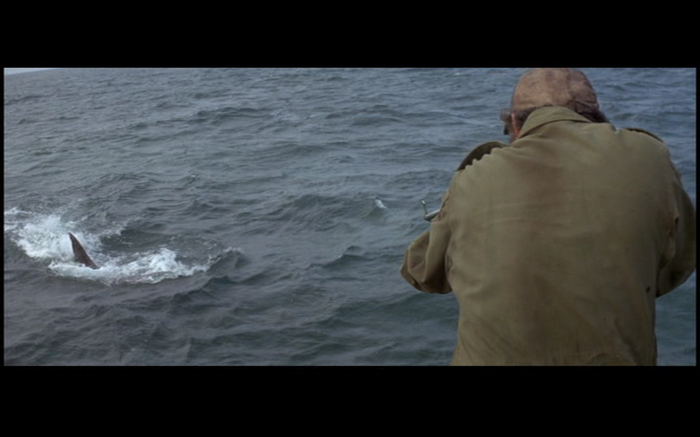 Homages, Ripoffs, and Coincidences: The Fin