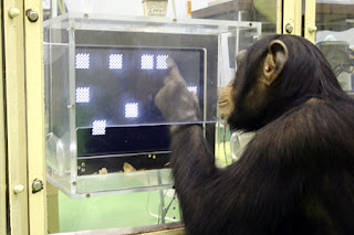 Dalai's PACS Blog: Dalai's Laws of PACS, Revised...The RANZCR Address