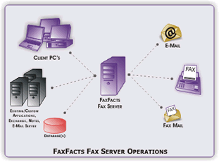 Dinasty Warior: The Types Of Server