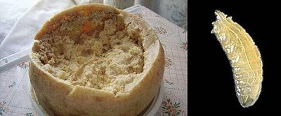 Entertaining Thoughts: Maggot Cheese That Tries to Eat Your Eyes!