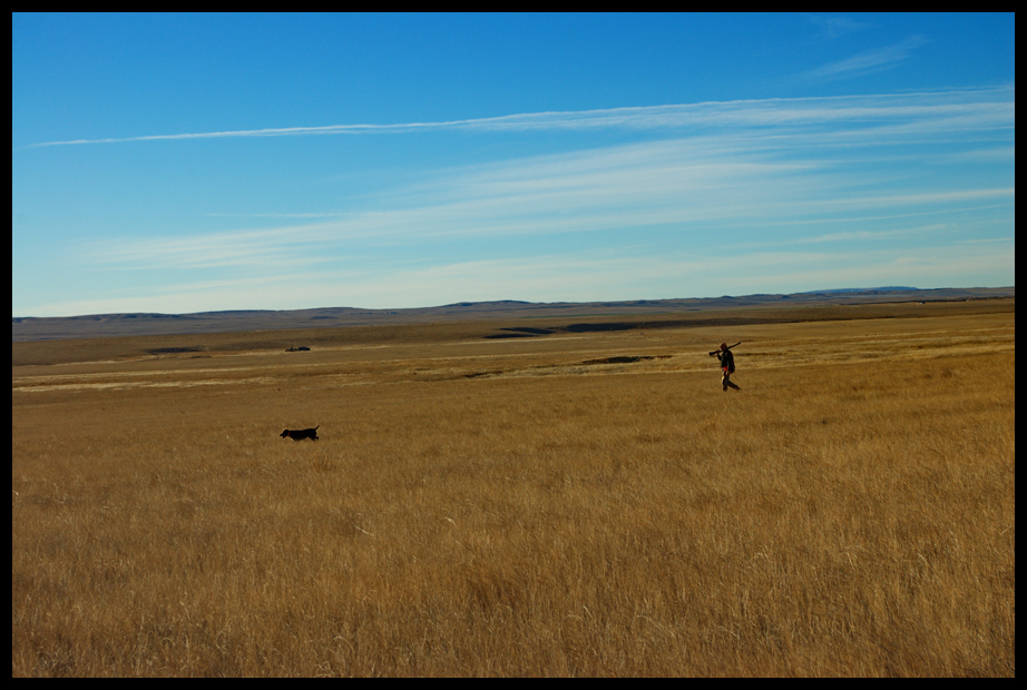 Chuck Robbins-Outdoors: Upland Bird Hunting: Huns Are Where You Find Them