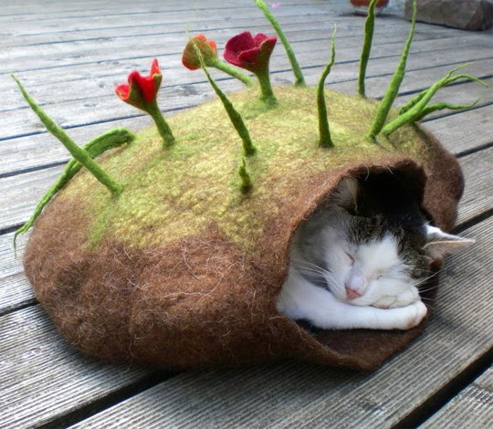 The Pesky Cat's Day Dream