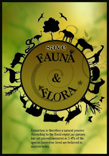 Digital Media Design 1: Final poster for flora and fauna