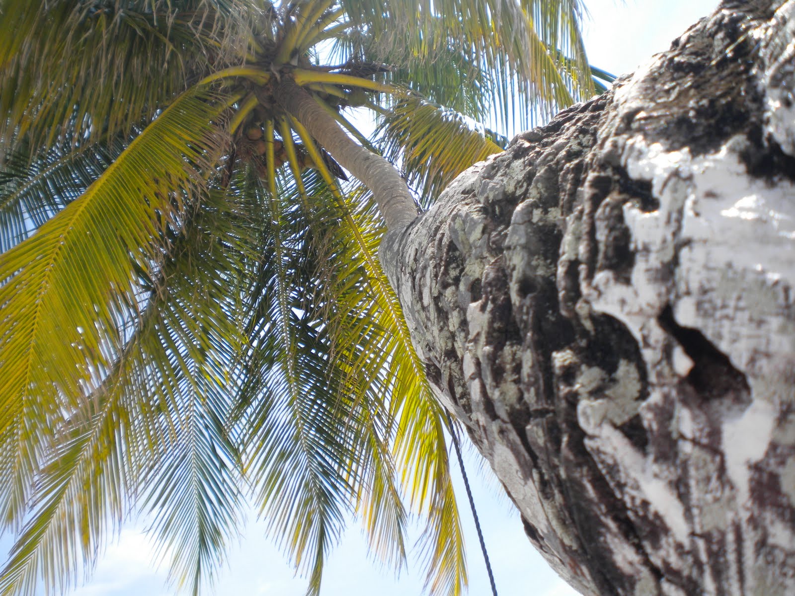 Semester in PANAMA!!!: Kuna Yala