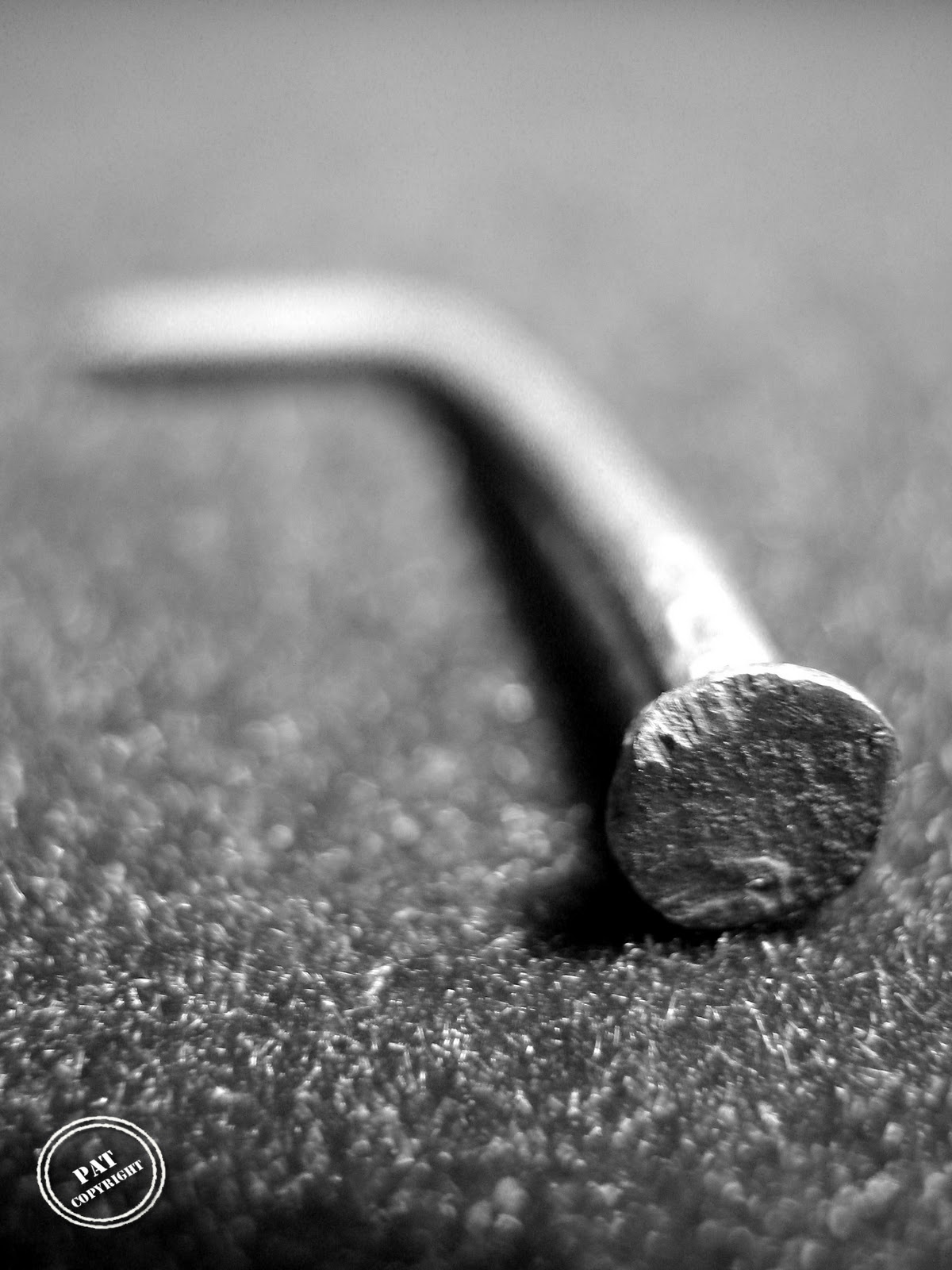 Burlas y Veras: 2011