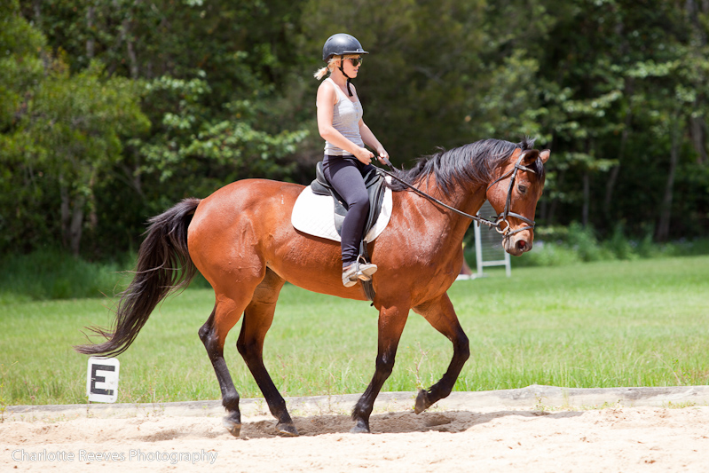 Posture, Seat, Balance: Improve your horse riding - shoulders back