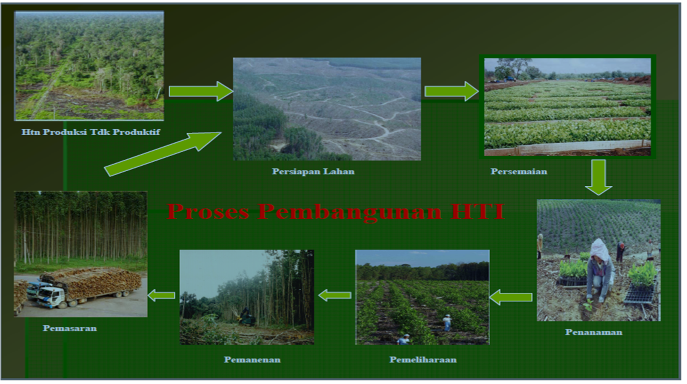 sugianto97: Hutan Tanaman Industri