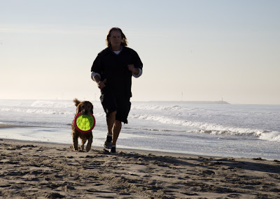 Project Taiwan: Bring Them Home: Update from Rita's Simba, now Tai