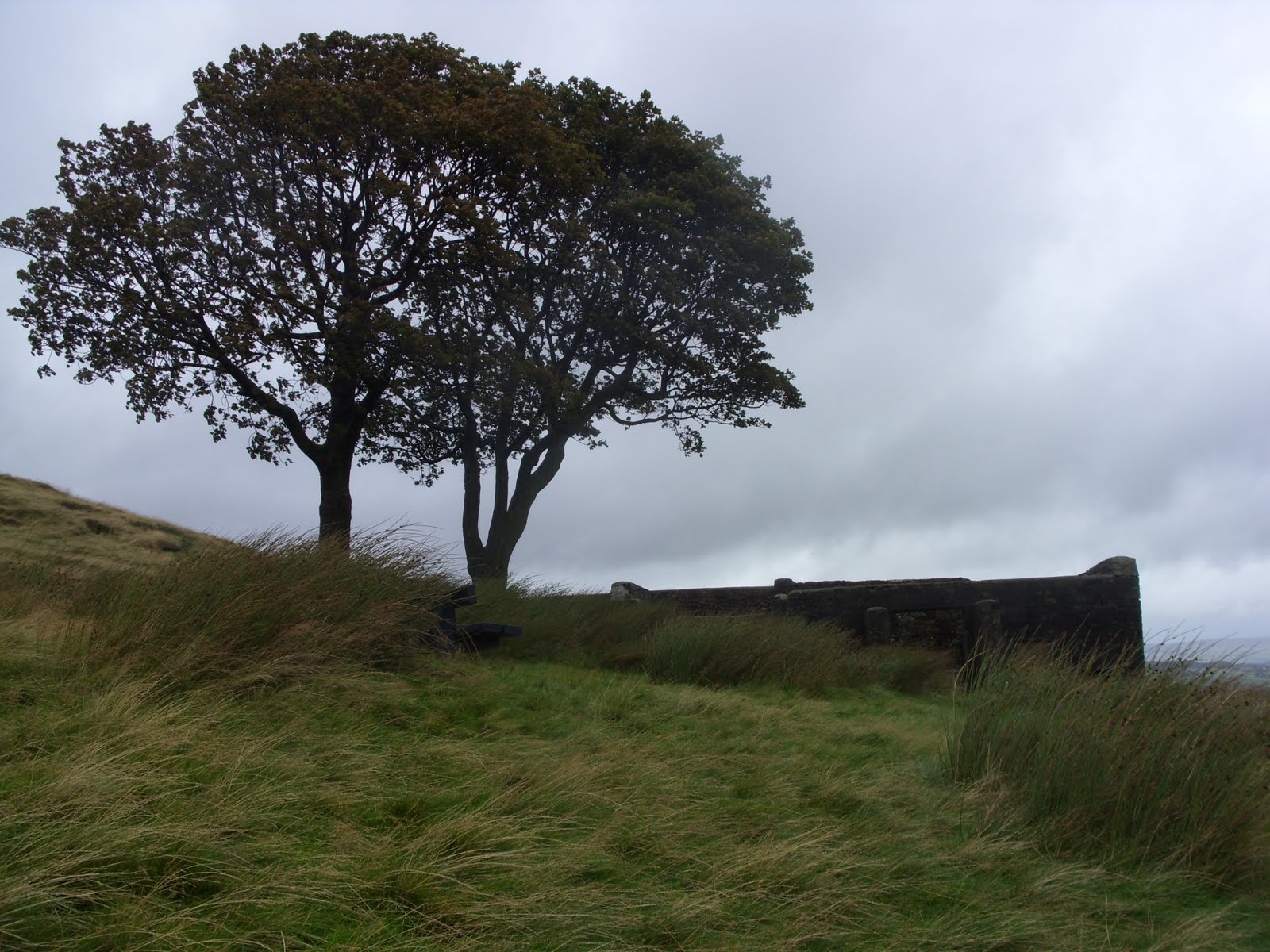 Atmospheric & Haunted Places: Haworth moor