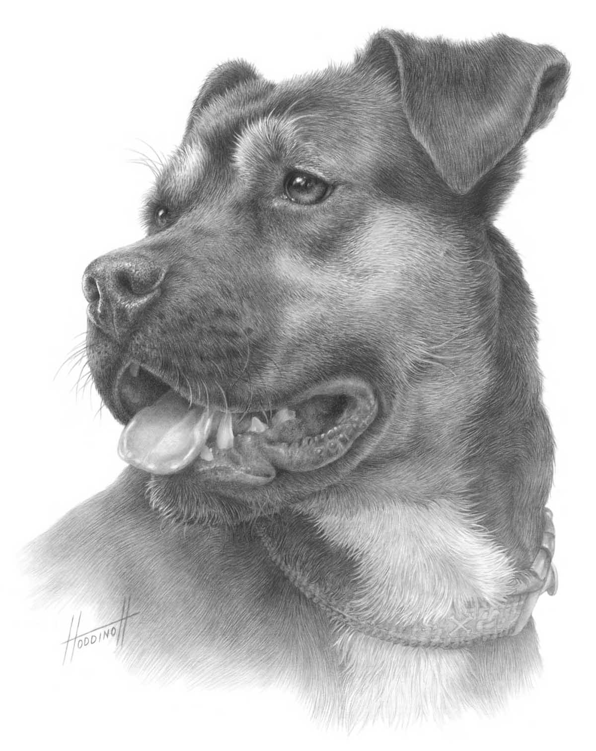 Brenda at Drawspace.com