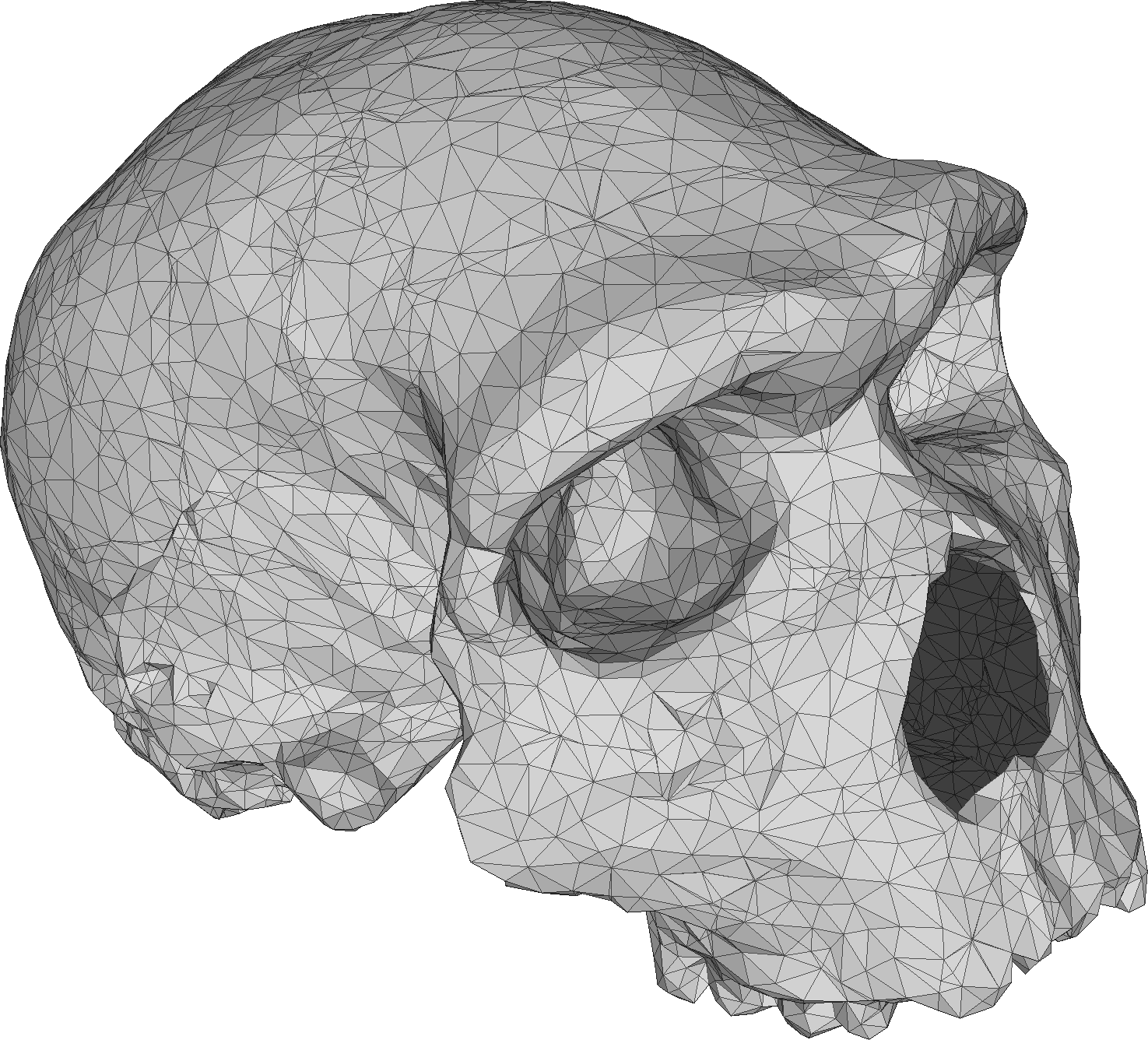 MeshLab Stuff: Remeshing and Texturing (1)