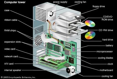 Partes internas del computador: Las partes internas del cpu