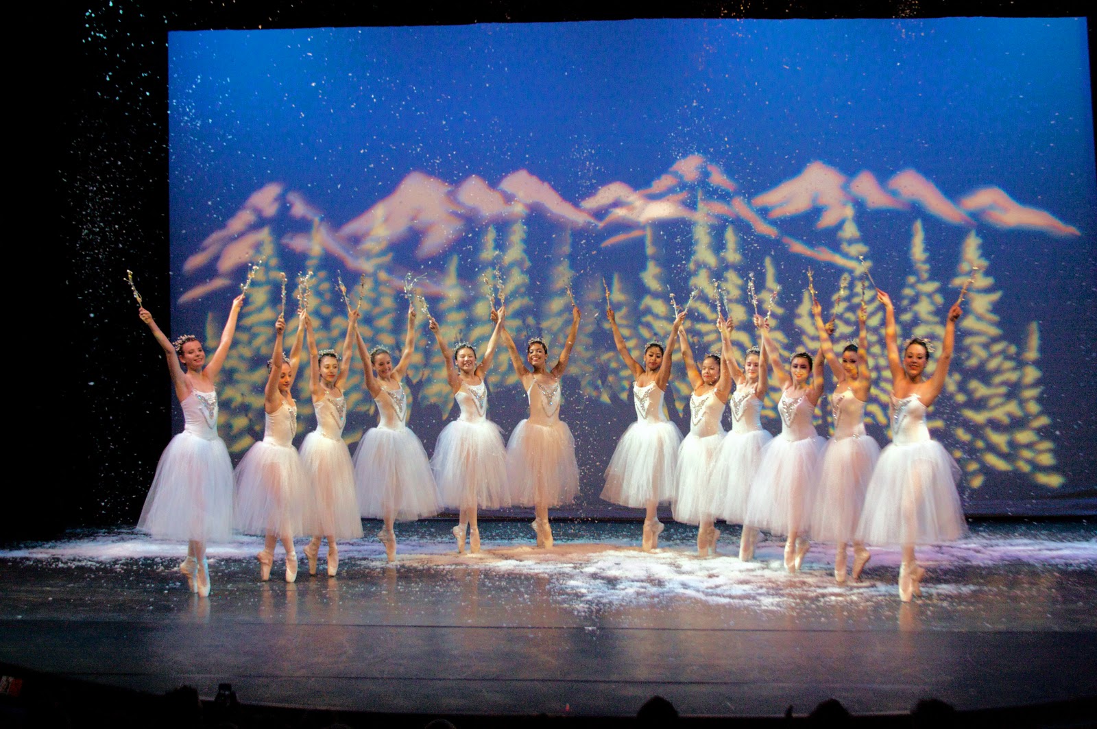 24/Seven: Sometimes you feel like a nut...