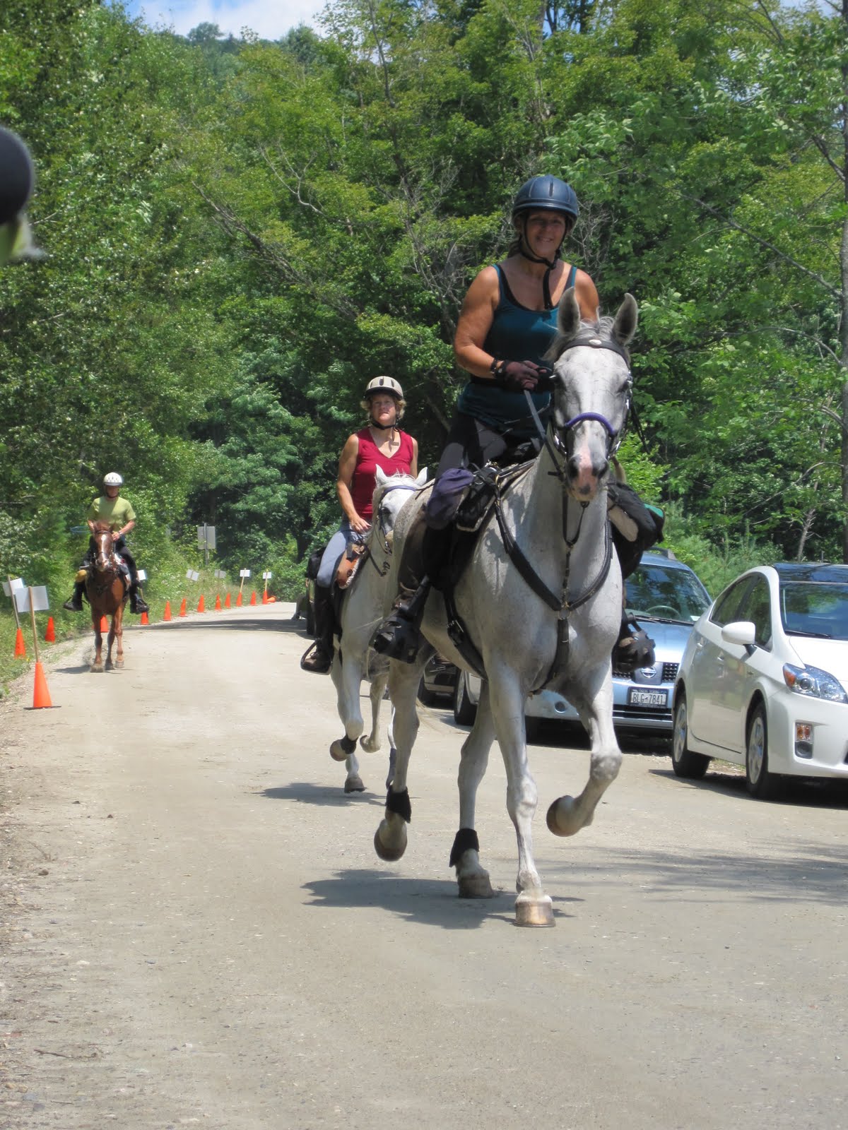 Steve Taylor: Vermont 100 Mile Trail Run: Coach Taylor's Race Report