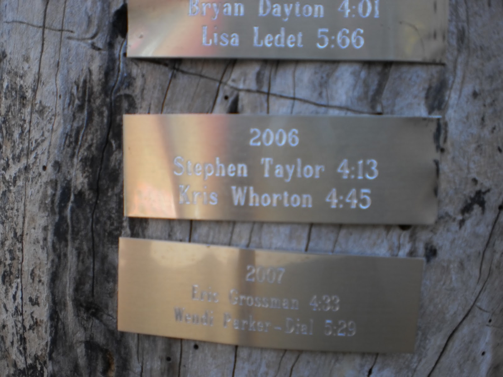 Steve Taylor: Stump Jump 50K and 11 Mile Trail Run