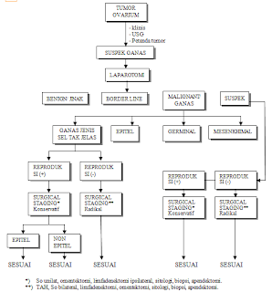 obgynmag: KANKER OVARIUM protap HOGI