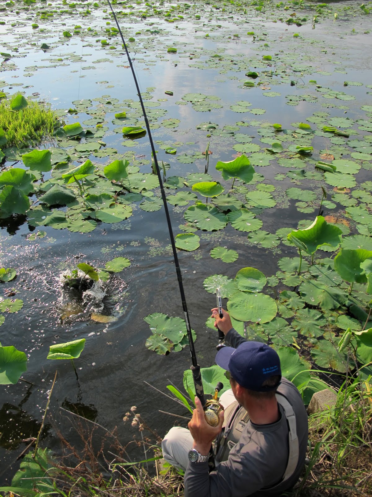 Tackle Source: FISHING IN JAPAN - FRESHWATER