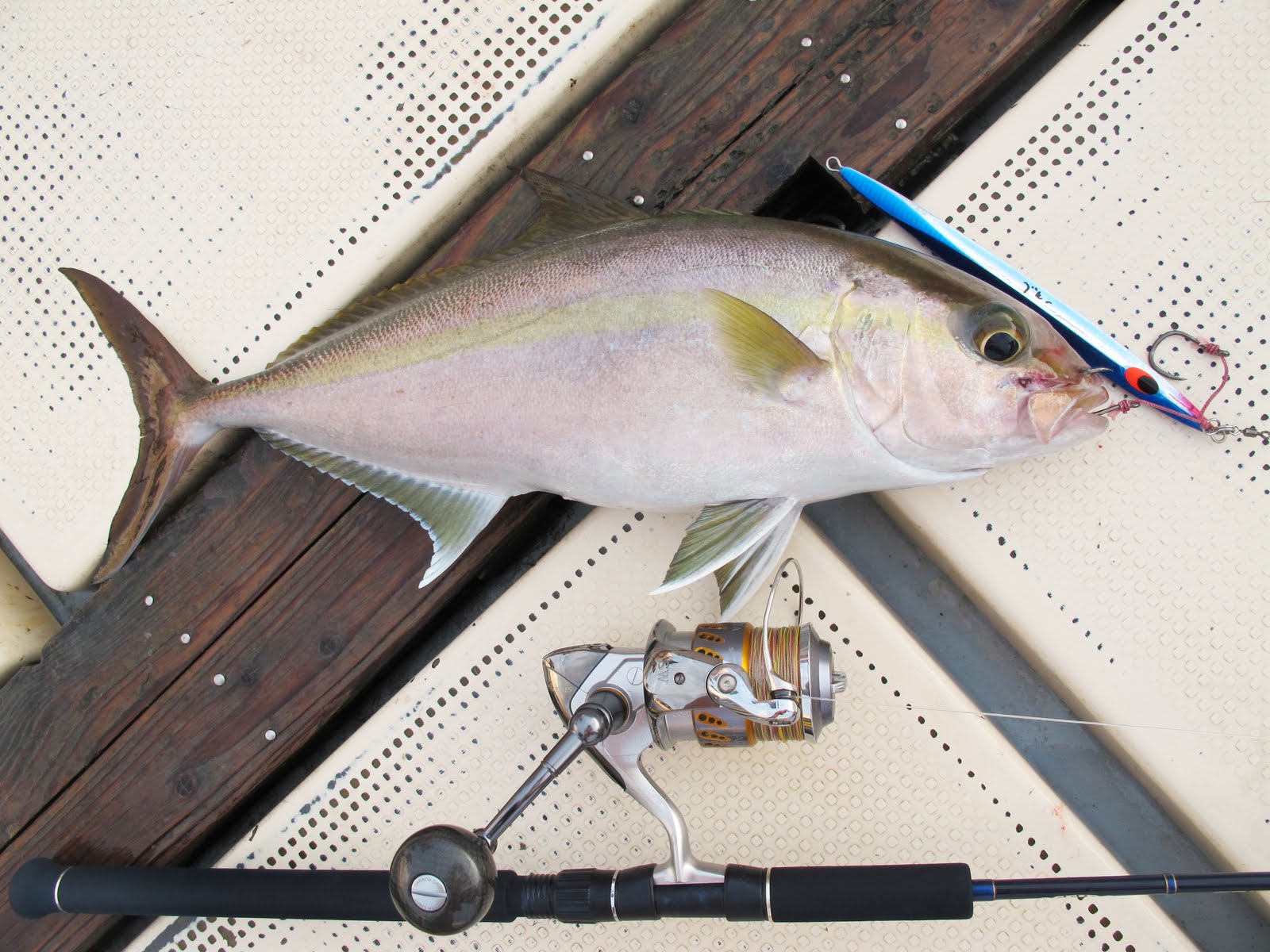 Tackle Source: FISHING IN JAPAN - SALTWATER