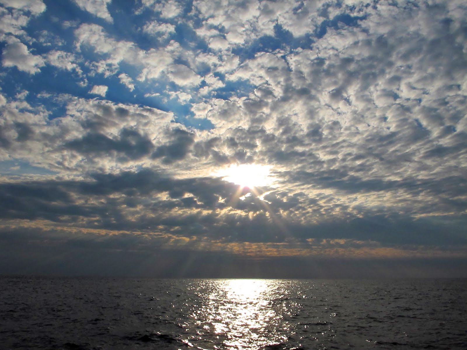 Tackle Source: JIG JIG JIG!