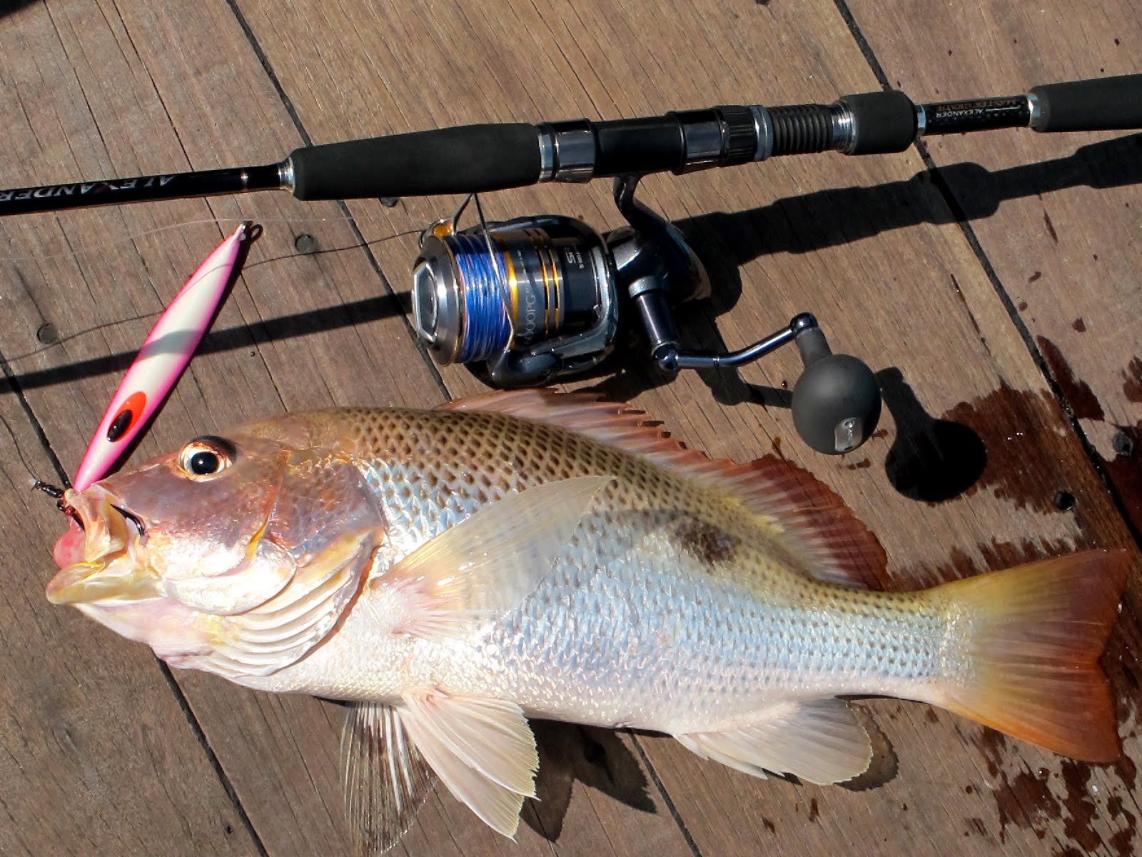 Tackle Source: JIG JIG JIG!