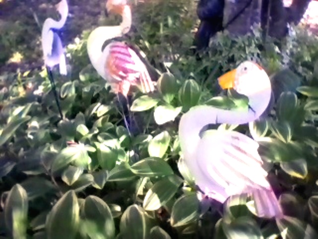 Bilgrimage On Pink Flamingoes And Flight A Poem Essay Bilgrimage On Pink Flamingoes And Flight A Poem Essay
