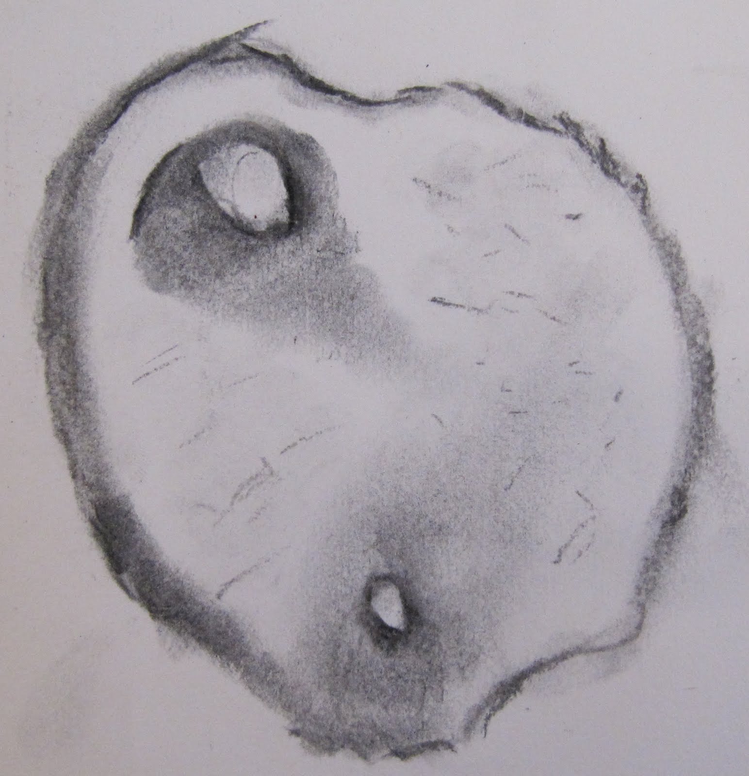 GCSE Art: Year 10 SURFACES