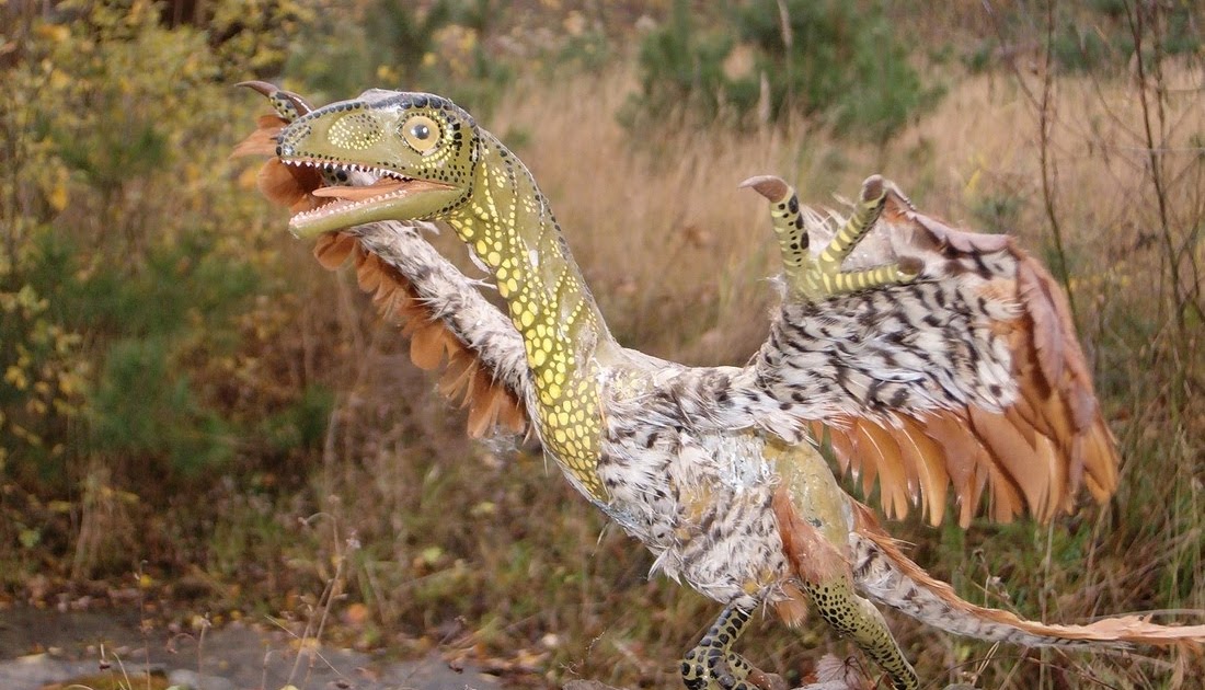 Arqueópterix | Dinos Tephix