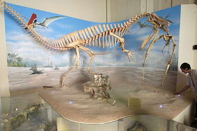 GRANDES PREDADORES!: Angaturama limai