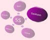 O Seiton no 5S: Seiton