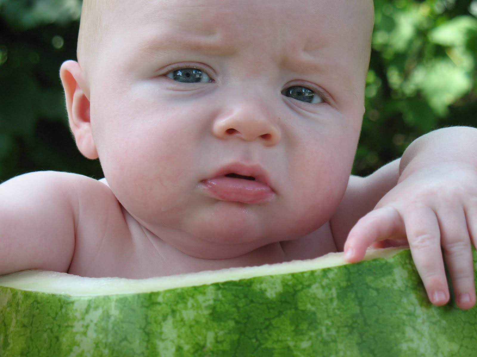 Fuller Fun: Baby Watermelon