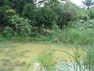 Glorious Birds: Kuala Lumpur Whirlwind Adventure