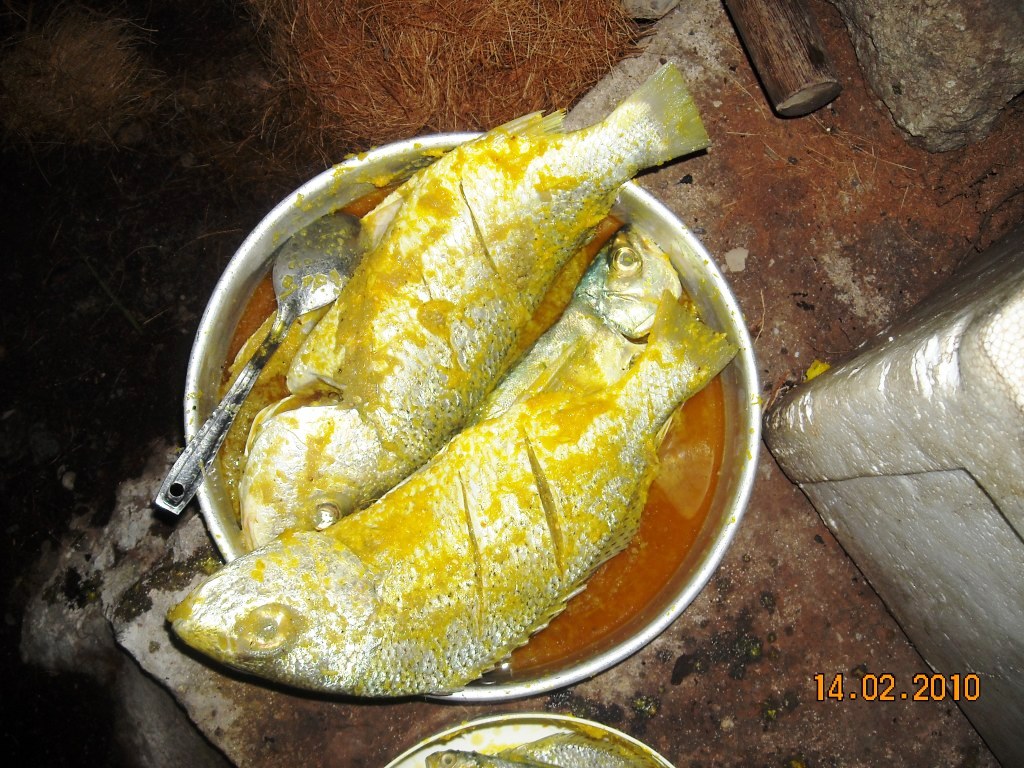 Pencinta Pancing: BagangFarm - Ikan Arut @ Gerut-gerut