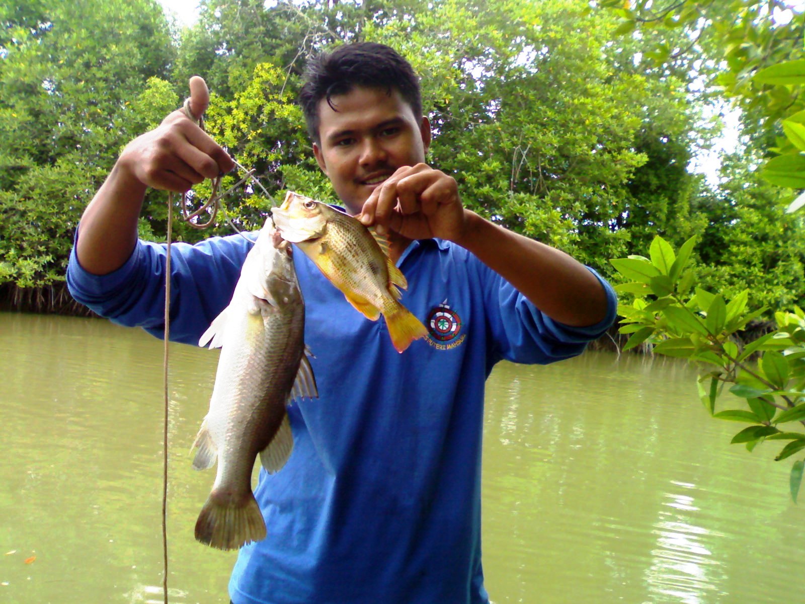 Pencinta Pancing: Memoir - Siakap Reba