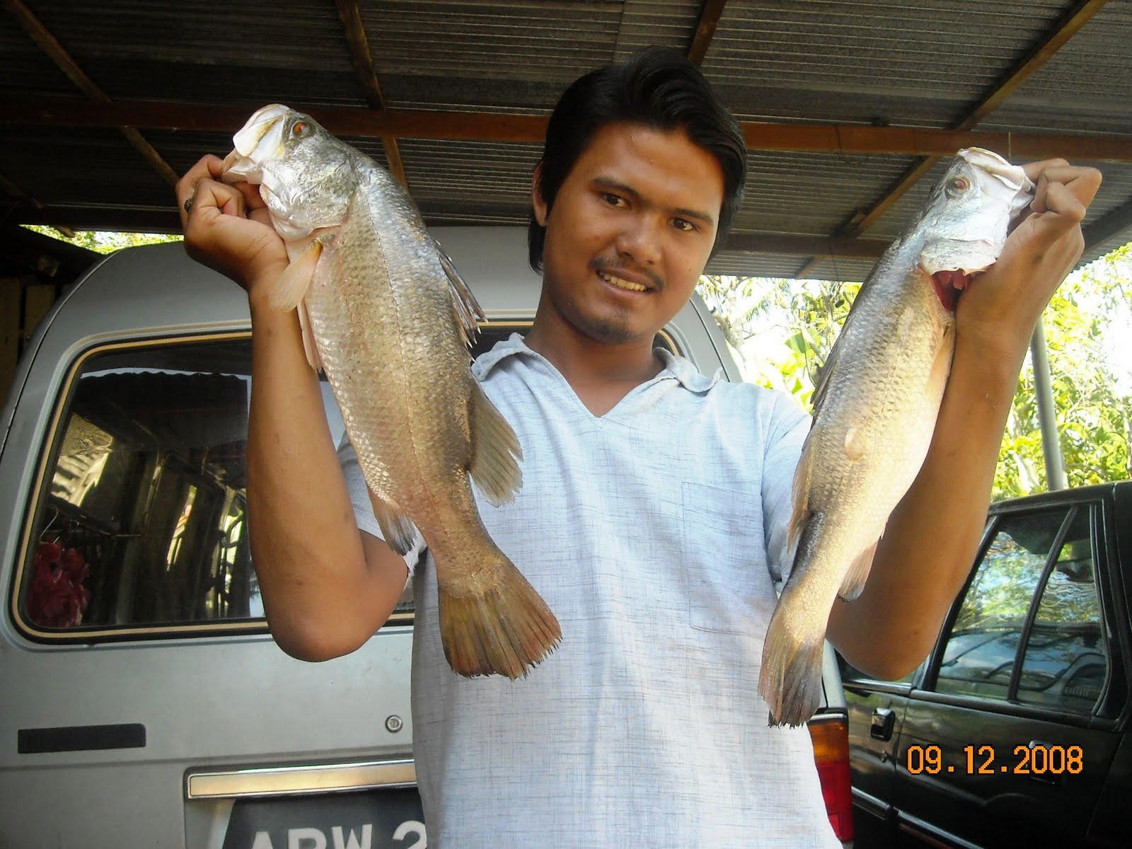 Pencinta Pancing: Memoir - Siakap Reba