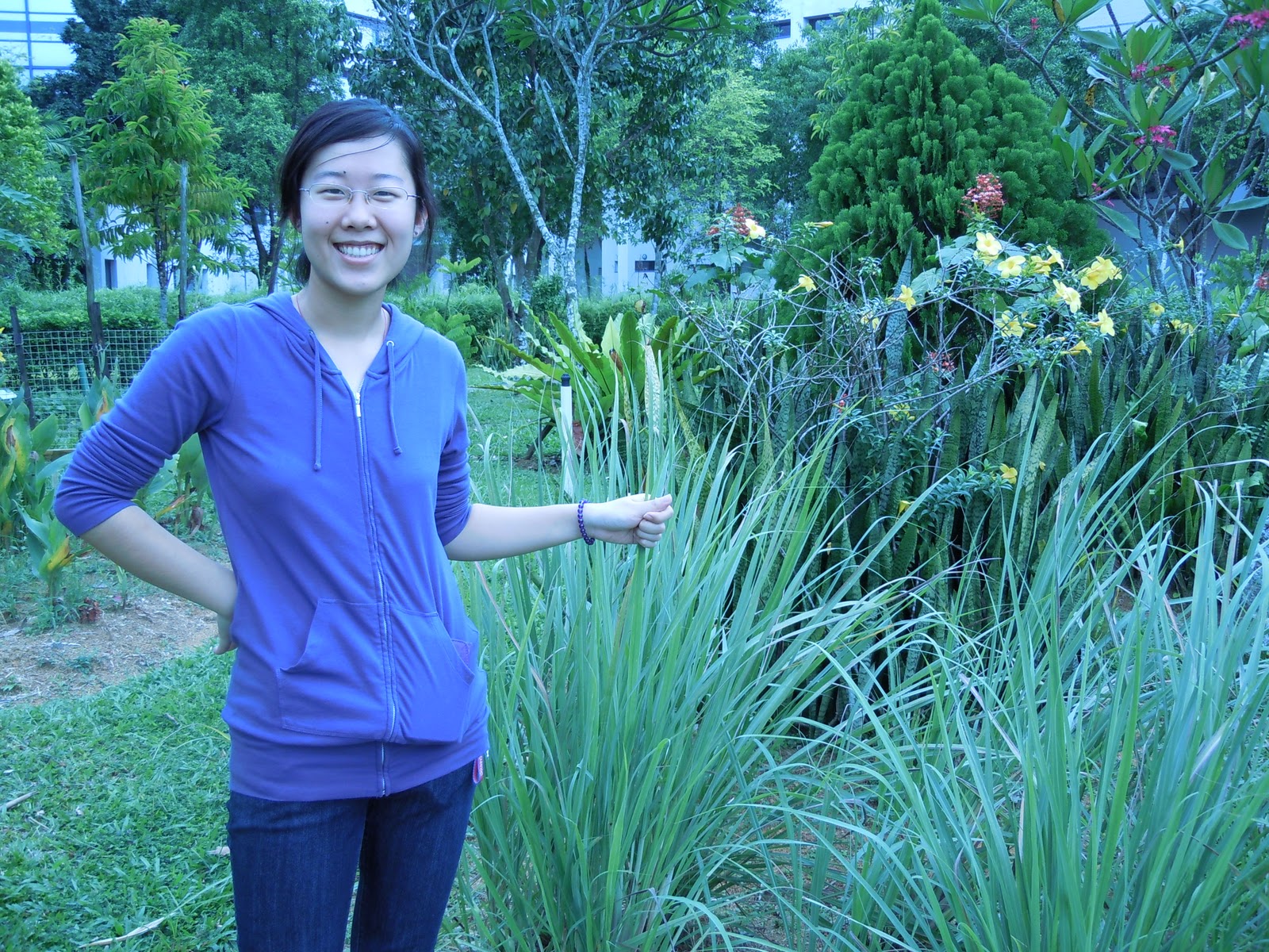 2011 T03 PSPS TP RACE, etutor Chee Swee Ann